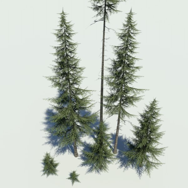 spruce tree 3d max