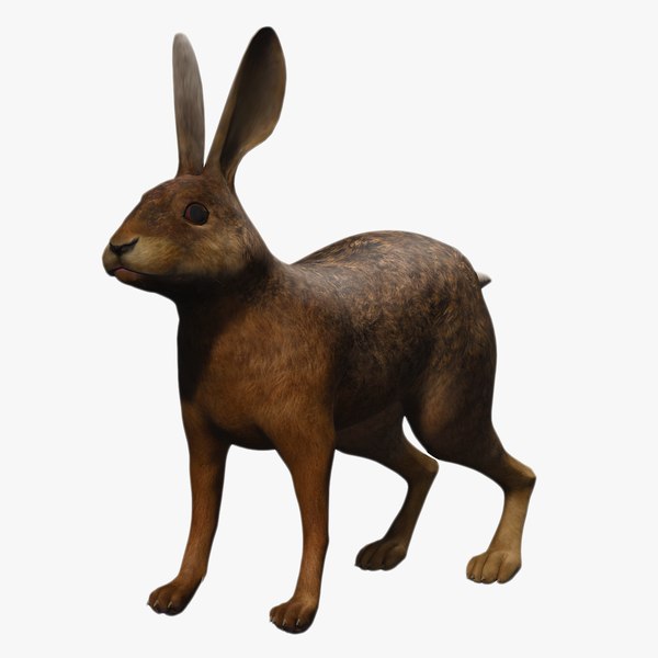 Bouncy Bunny 3D兔子模型 逼真的野兔卡通低聚3D模型3D模型 - TurboSquid 2175838