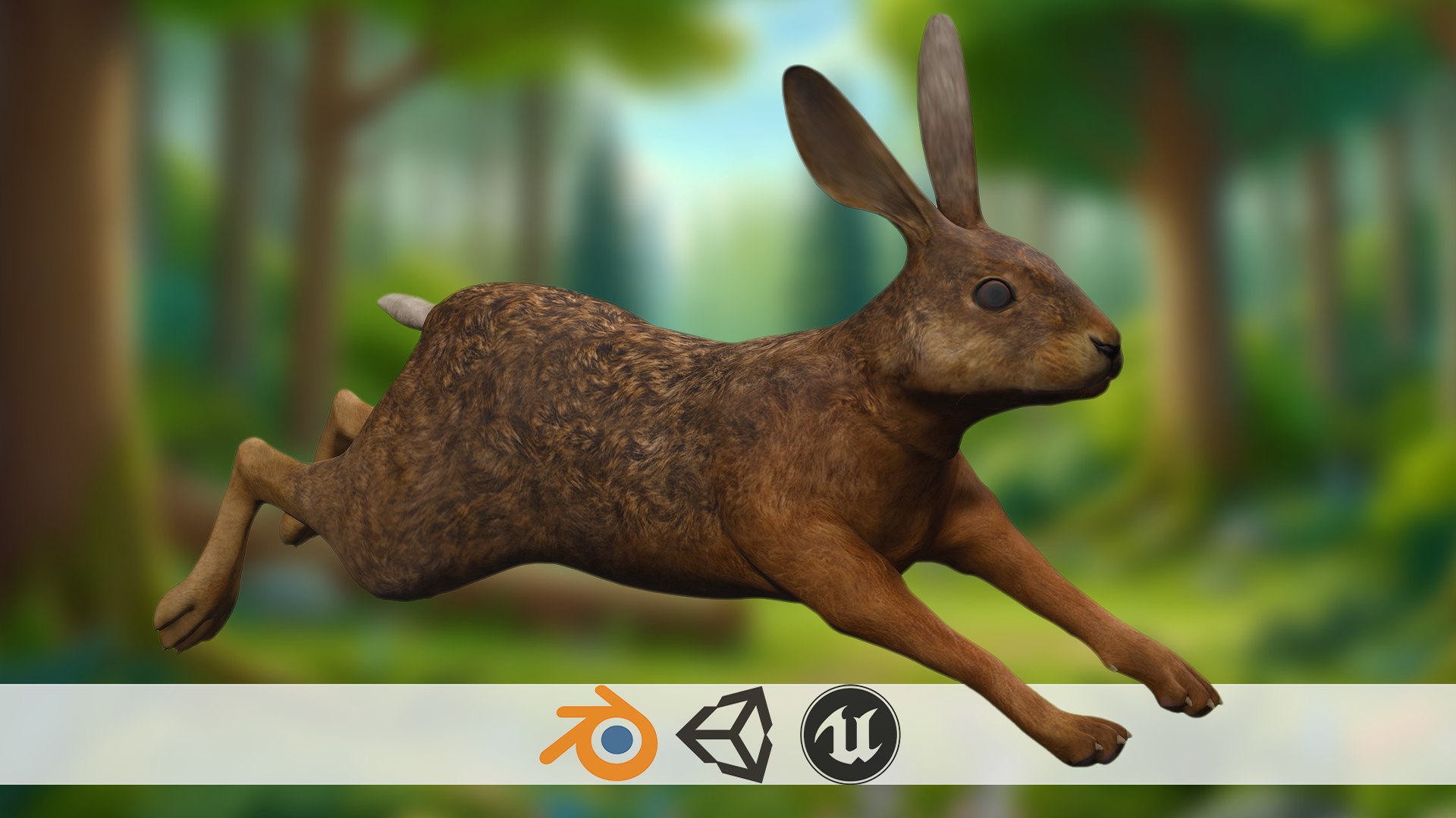 3D Bouncy Bunny 3D Rabbit Model Realistic Hare Toon Low-poly 3D Model ...