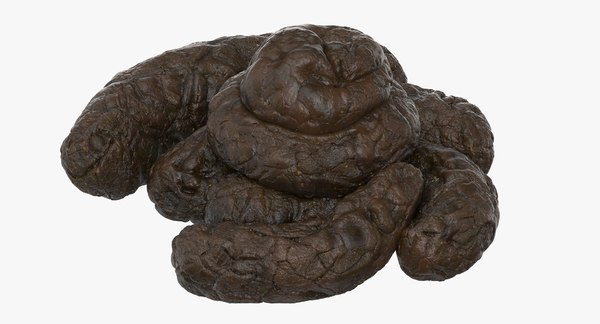 modelo 3d Mierda de mierda - TurboSquid 1639889