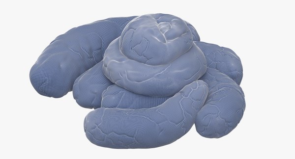 modelo 3d Mierda de mierda - TurboSquid 1639889