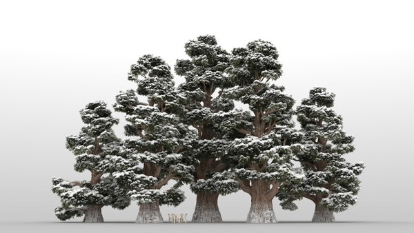 5 juniper trees 3D model - TurboSquid 1150153