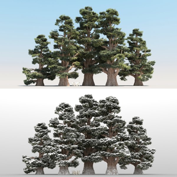 5 juniper trees 3D model - TurboSquid 1150153
