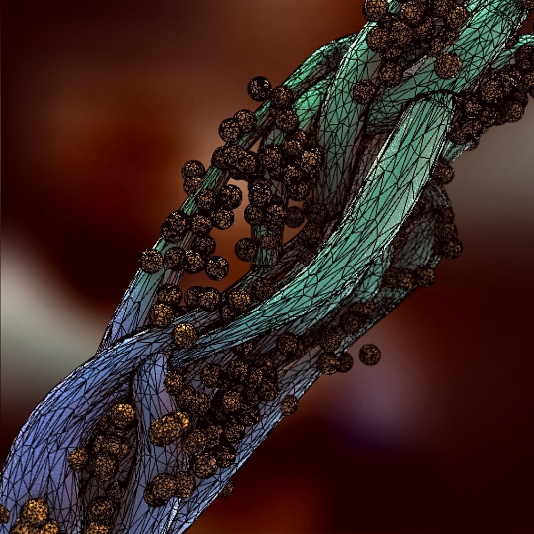 Staphylococcus Mrsa Bacteria 3d Max
