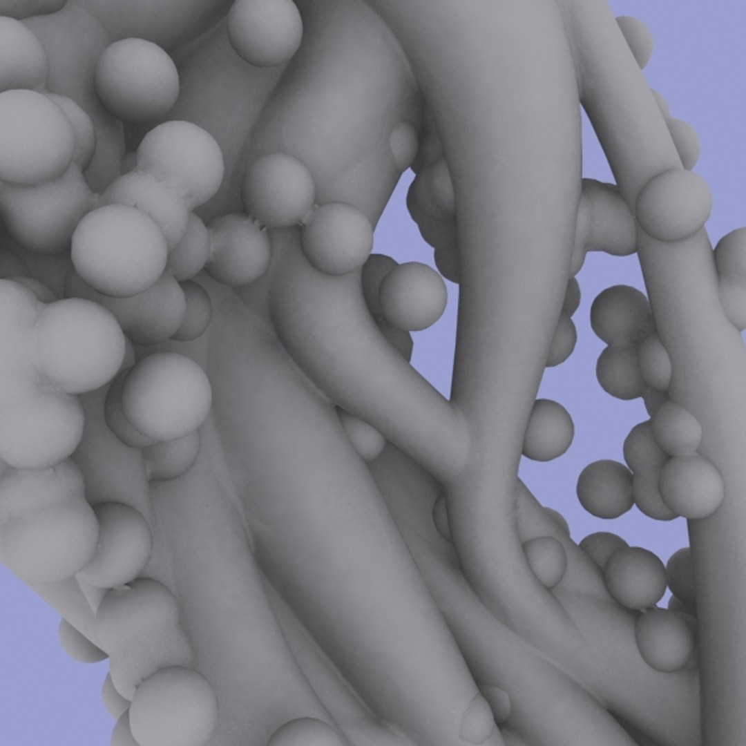 Staphylococcus Mrsa Bacteria 3d Max
