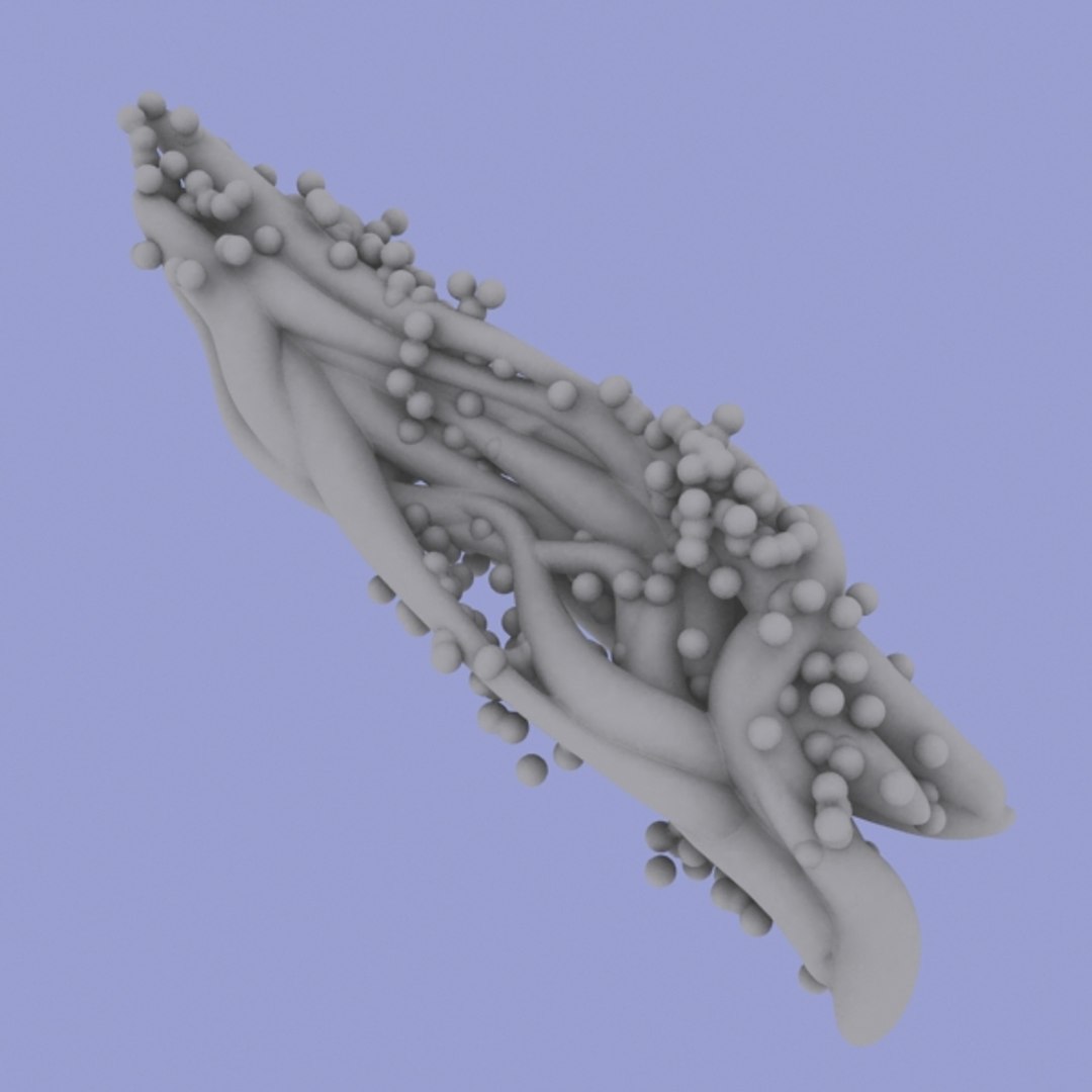 Staphylococcus Mrsa Bacteria 3d Max