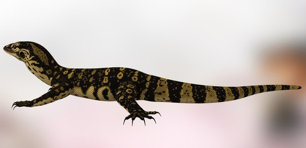 monitor varanus lizard 3d model