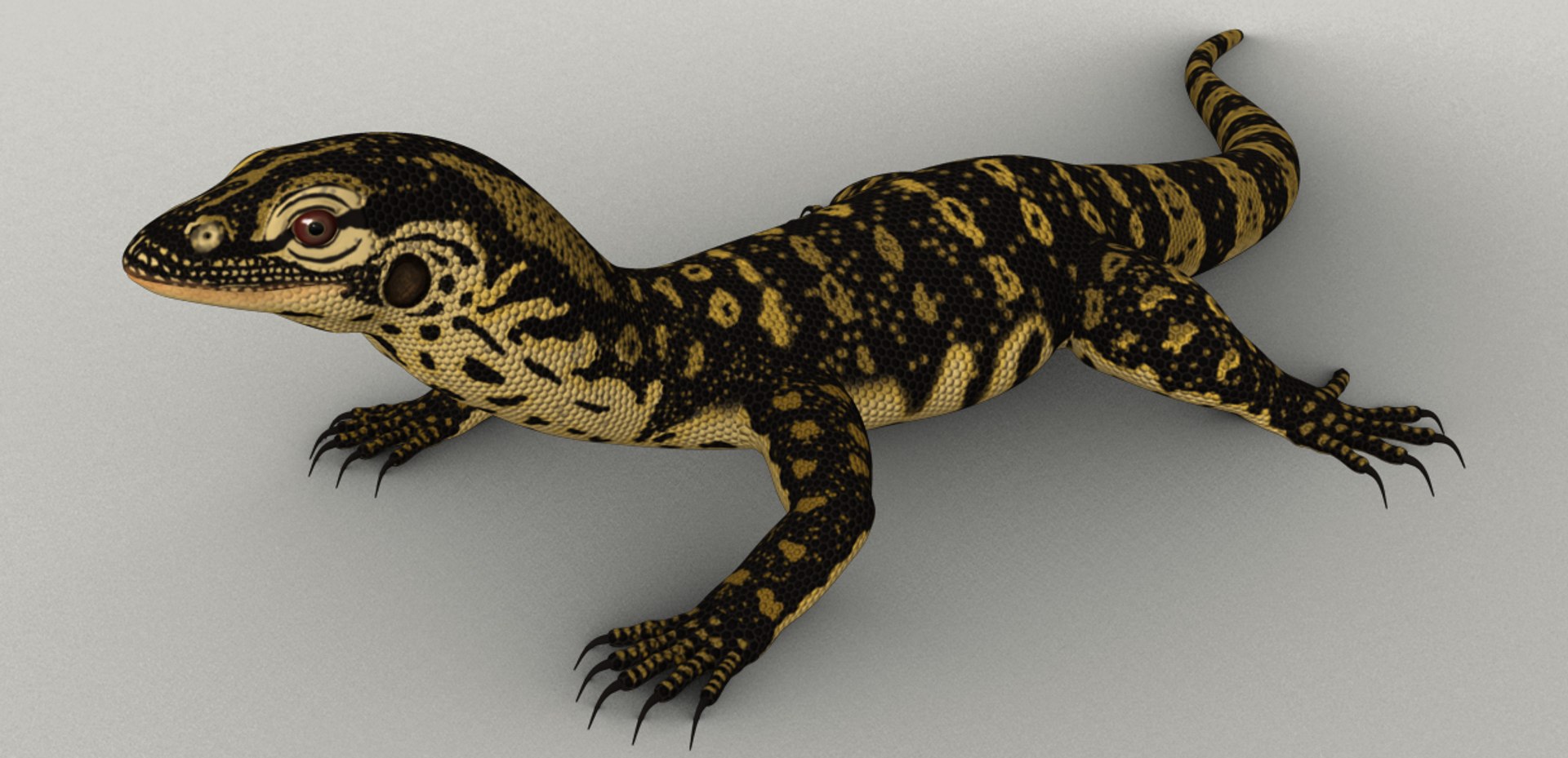 Monitor Varanus Lizard 3d Model