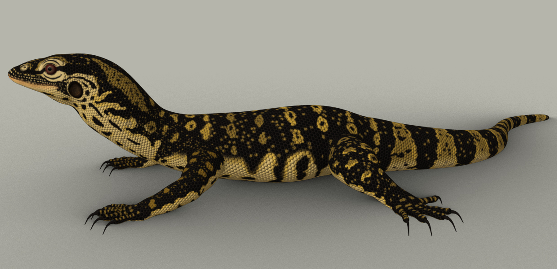 monitor varanus lizard 3d model