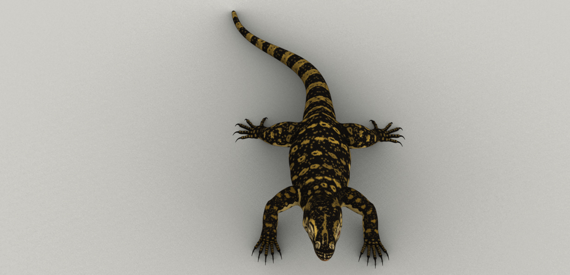 monitor varanus lizard 3d model