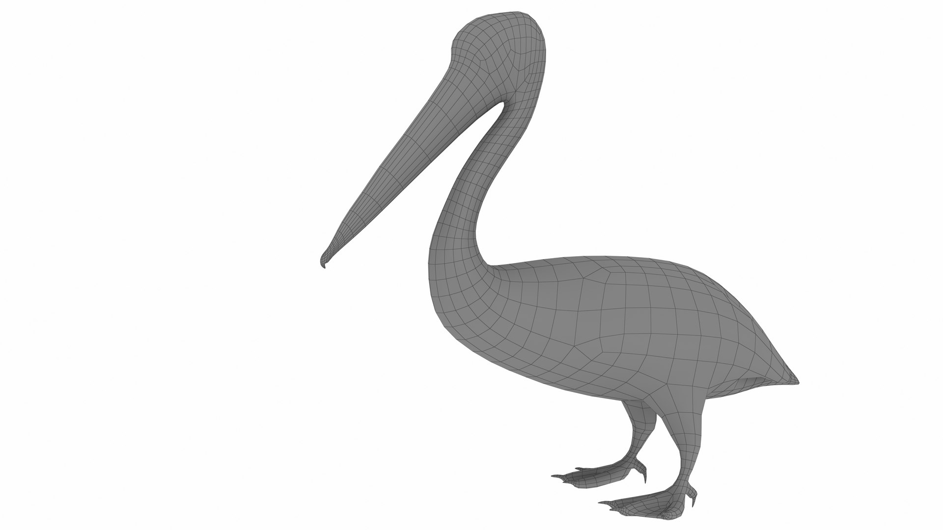 Pelican Model - TurboSquid 2338623