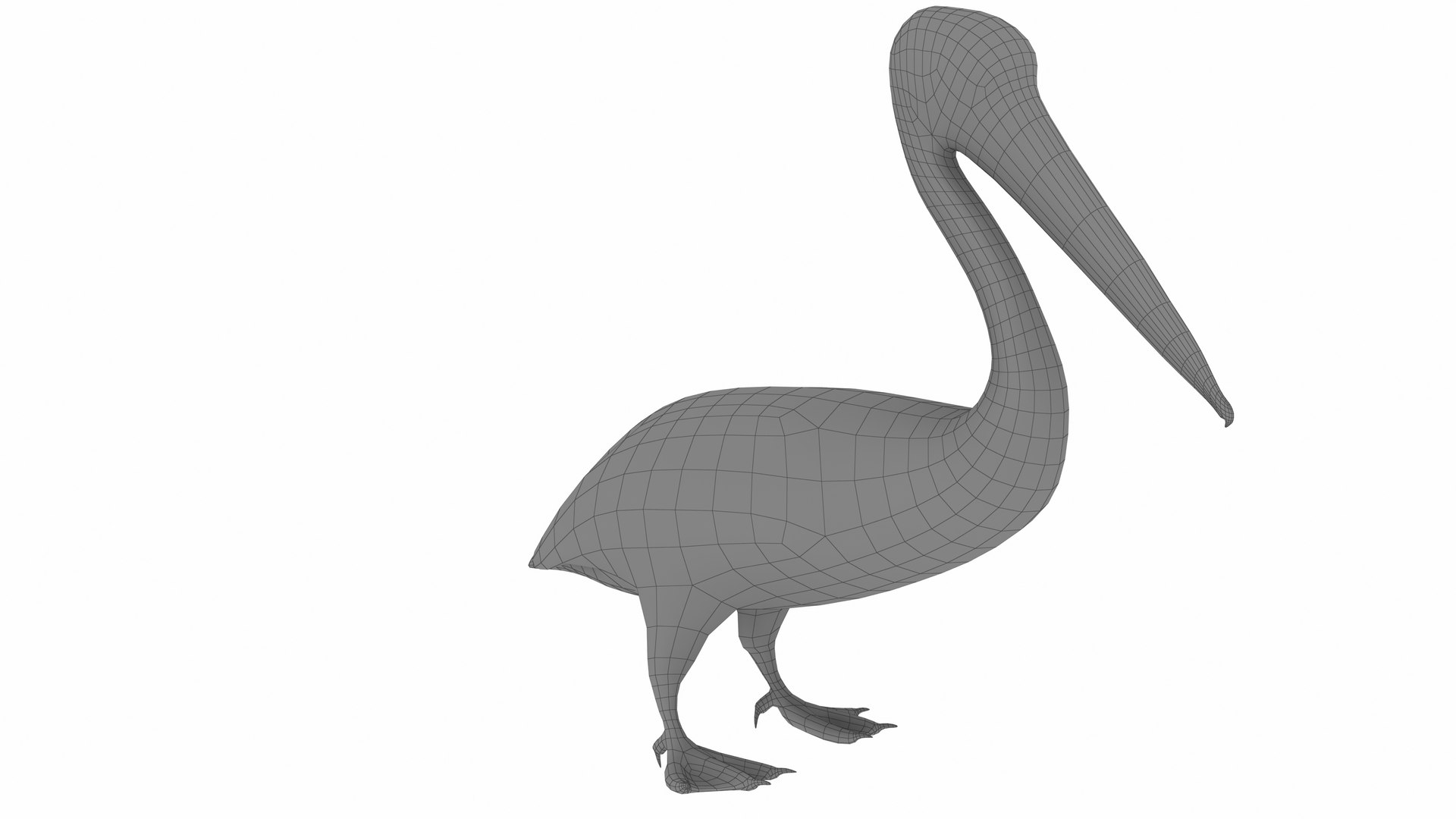 Pelican Model - TurboSquid 2338623