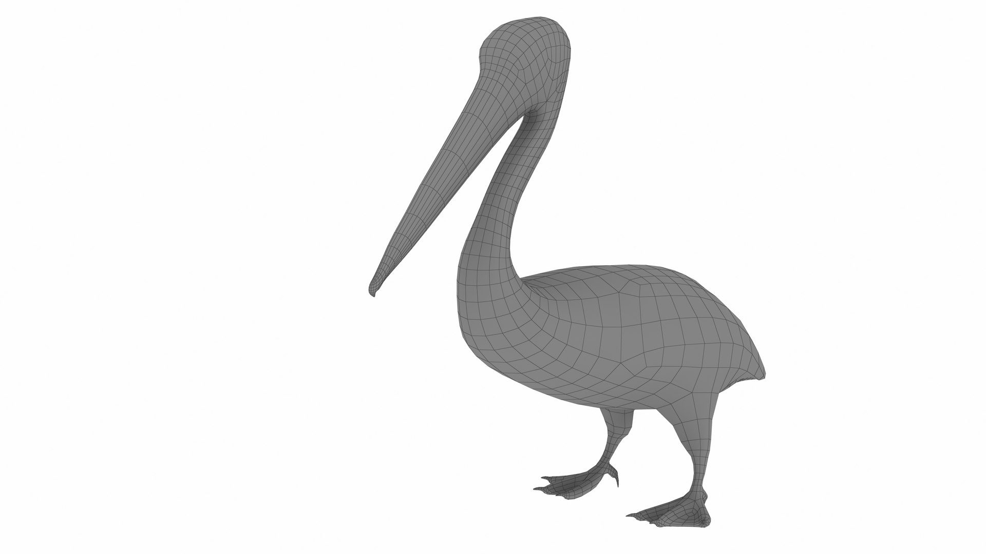 Pelican Model - TurboSquid 2338623