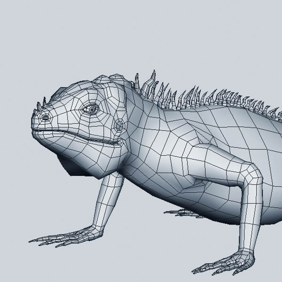 Resolution Iguana Lwo