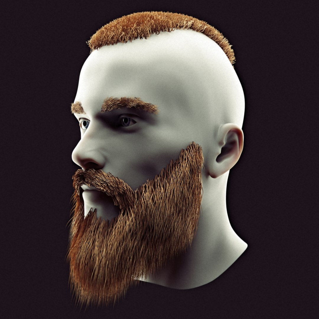 Hairstyle Beard 3D Model - TurboSquid 1394918