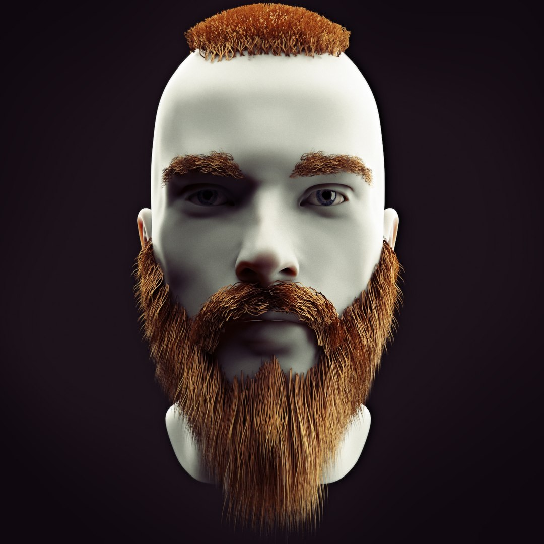 Hairstyle Beard 3D Model - TurboSquid 1394918