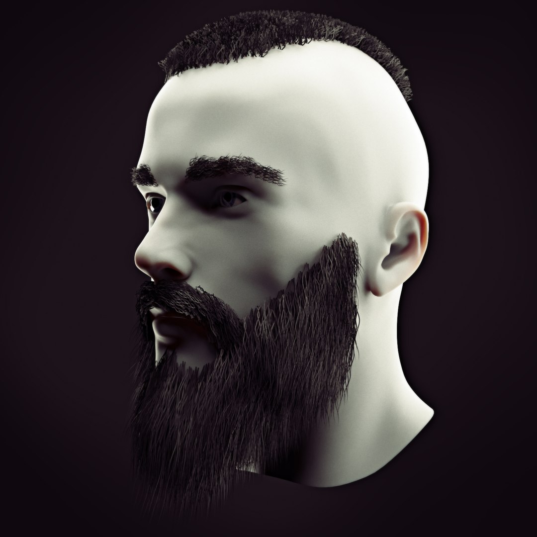 Hairstyle Beard 3D Model - TurboSquid 1394918
