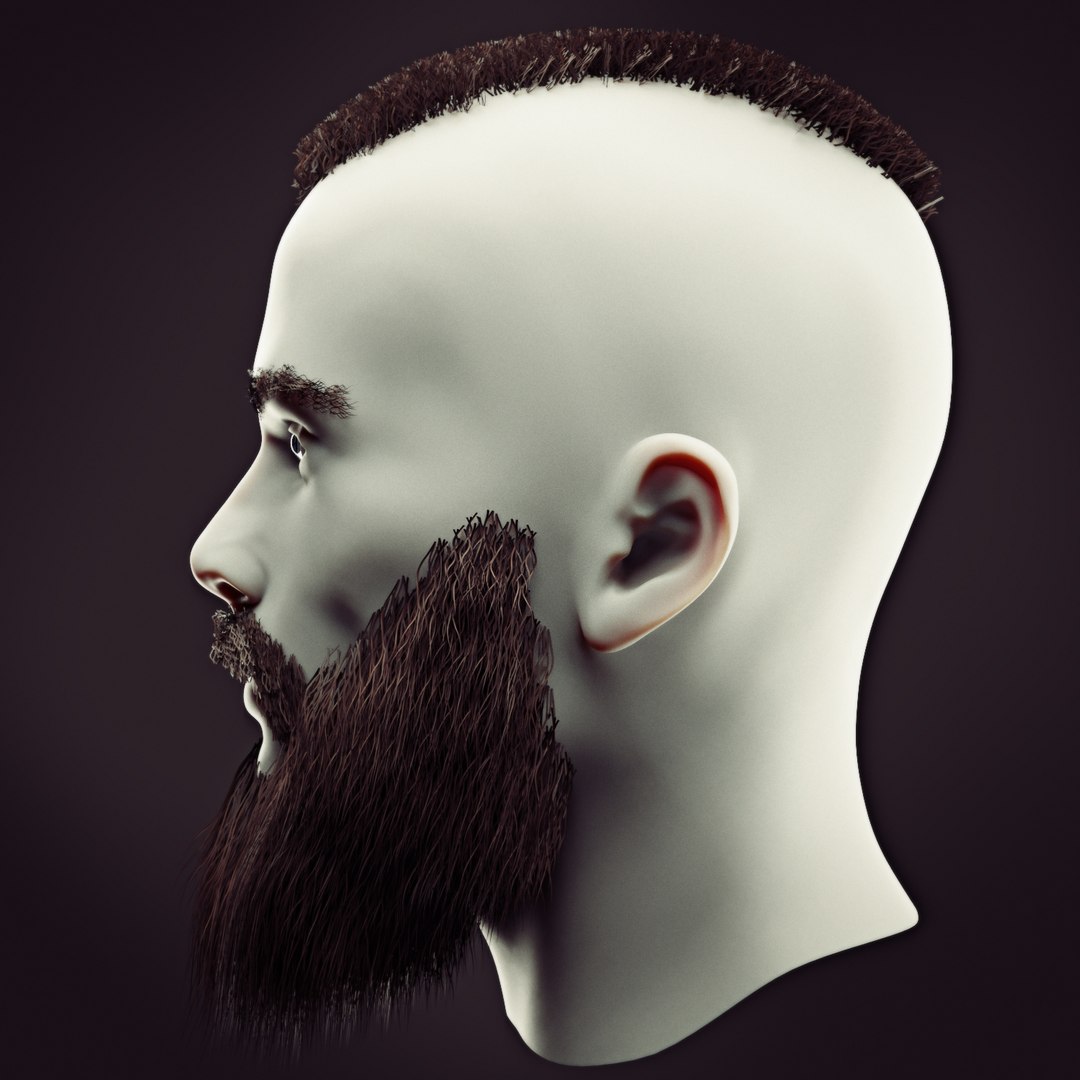 Hairstyle Beard 3D Model - TurboSquid 1394918