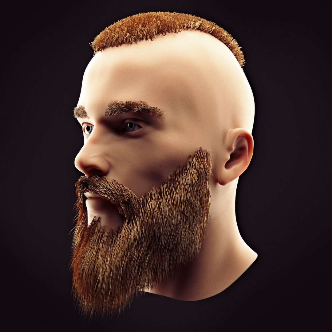 Hairstyle Beard 3D Model - TurboSquid 1394918