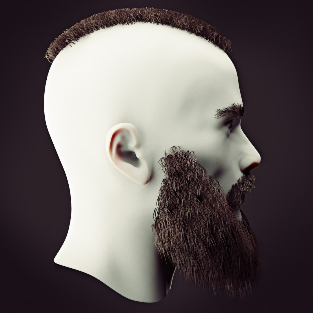 Hairstyle Beard 3D Model - TurboSquid 1394918