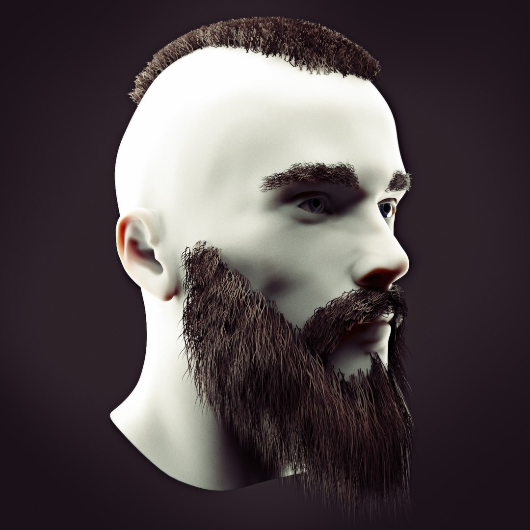 Hairstyle Beard 3D Model - TurboSquid 1394918