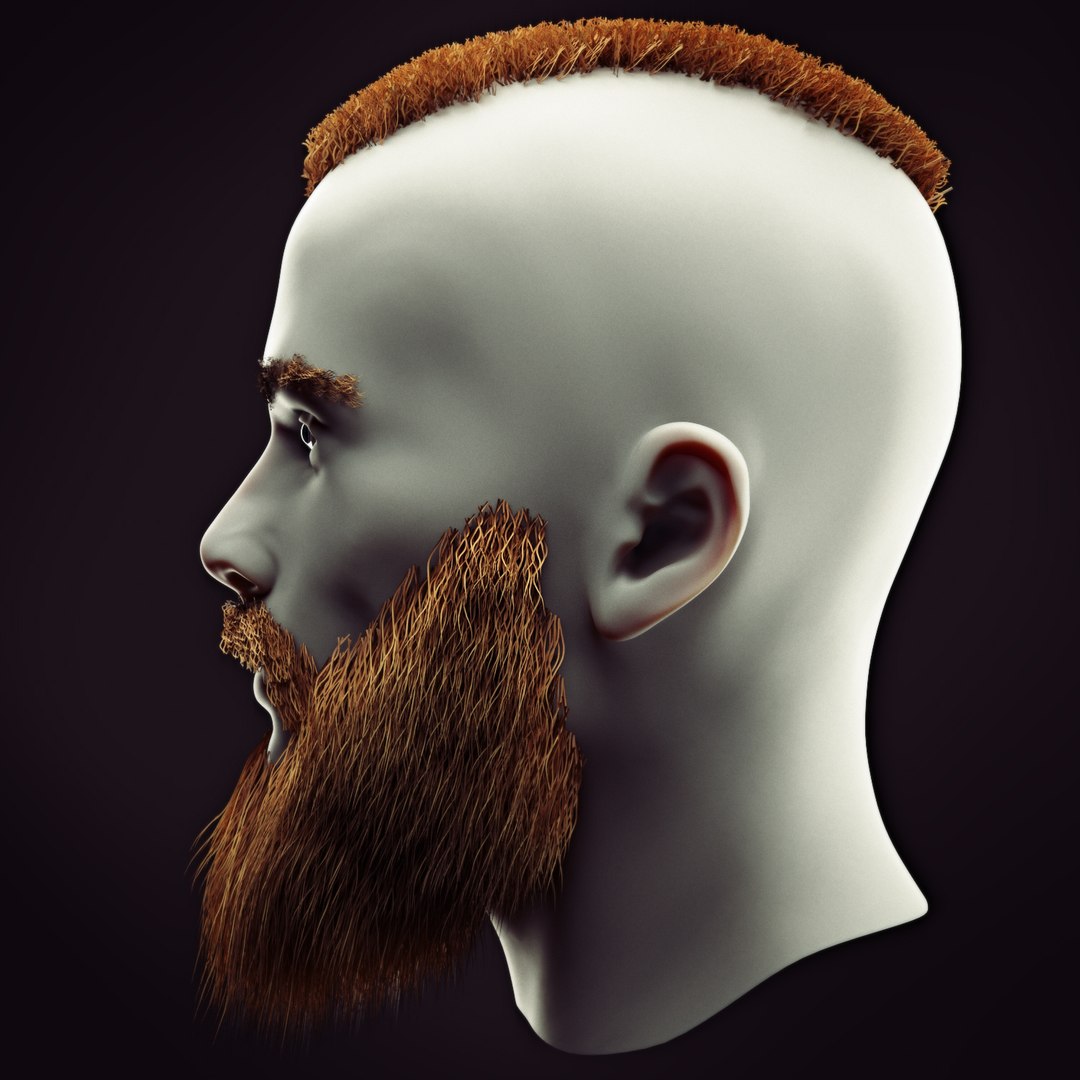 Hairstyle Beard 3D Model - TurboSquid 1394918