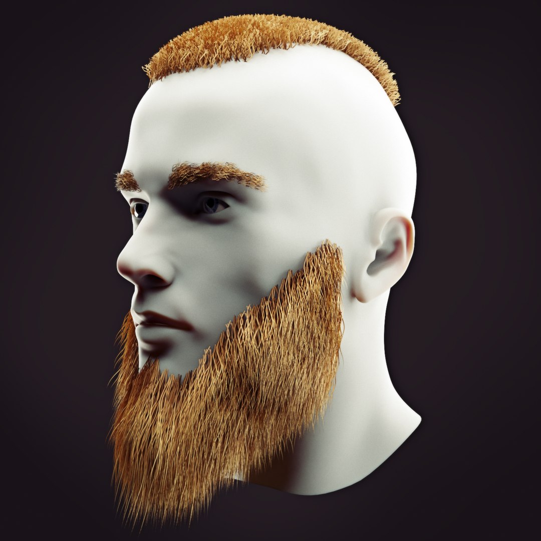 Hairstyle Beard 3D Model - TurboSquid 1394918