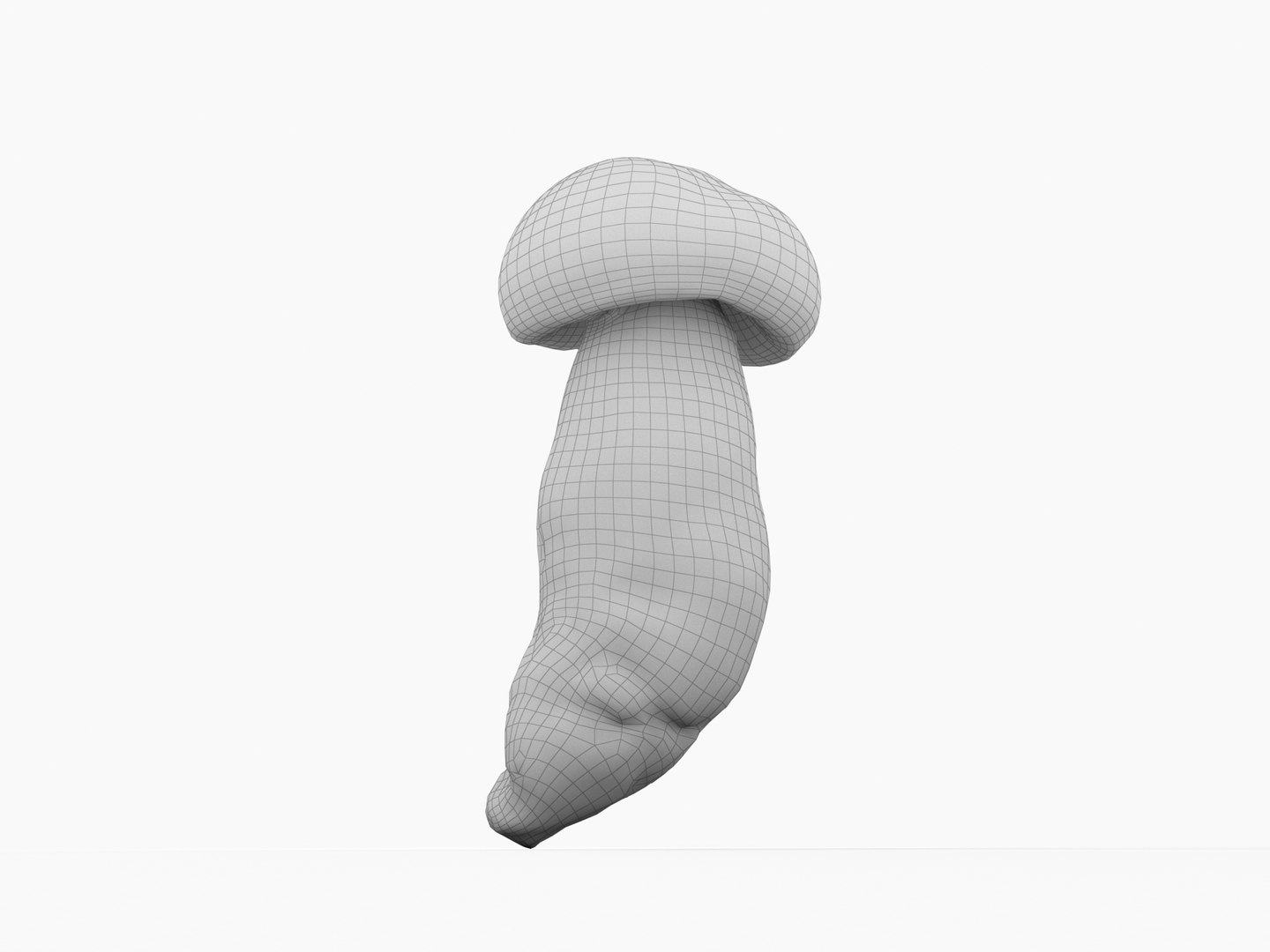 Boletus Badius 02 3D Model - TurboSquid 2308351