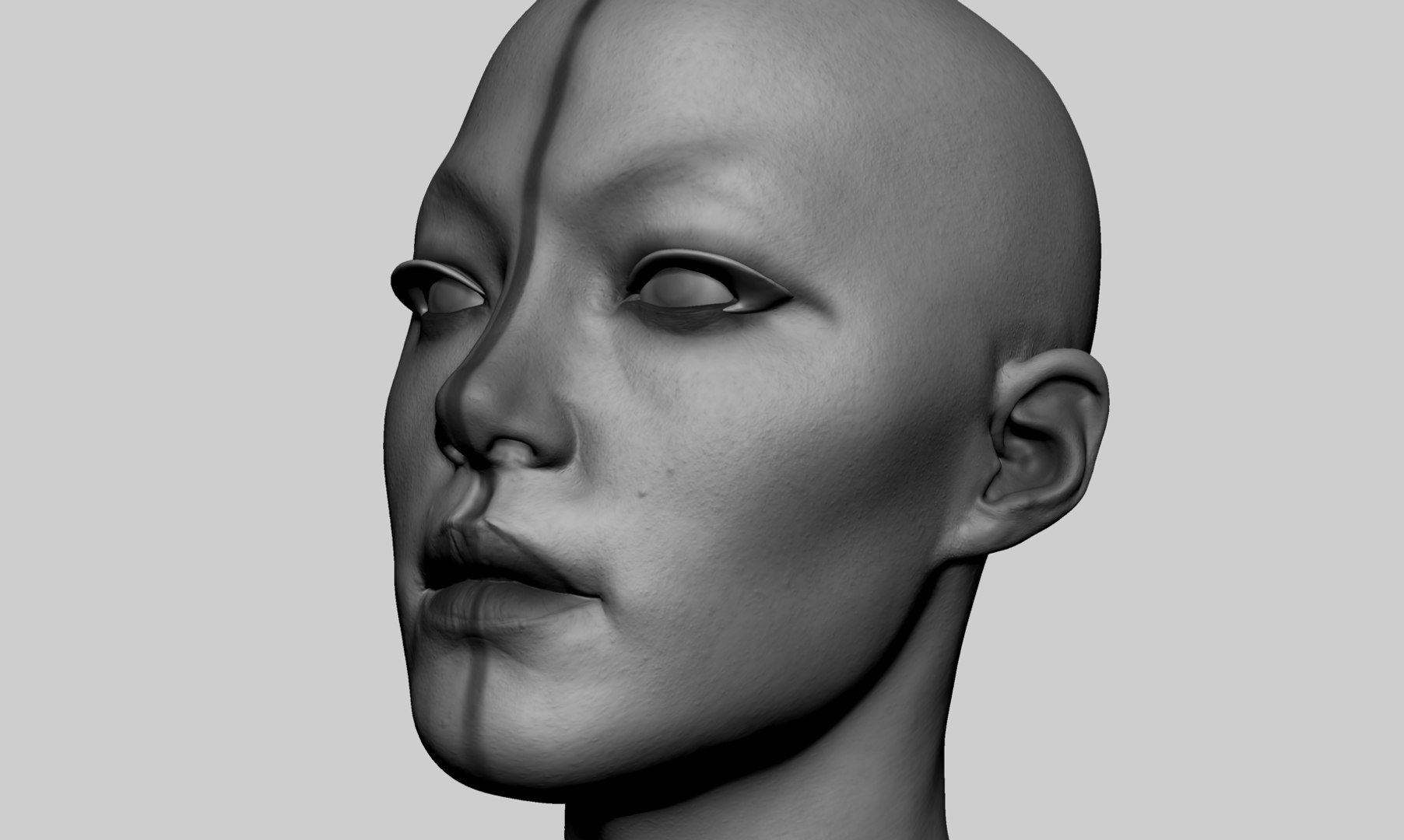 Female head anatomy 3D model - TurboSquid 1591184