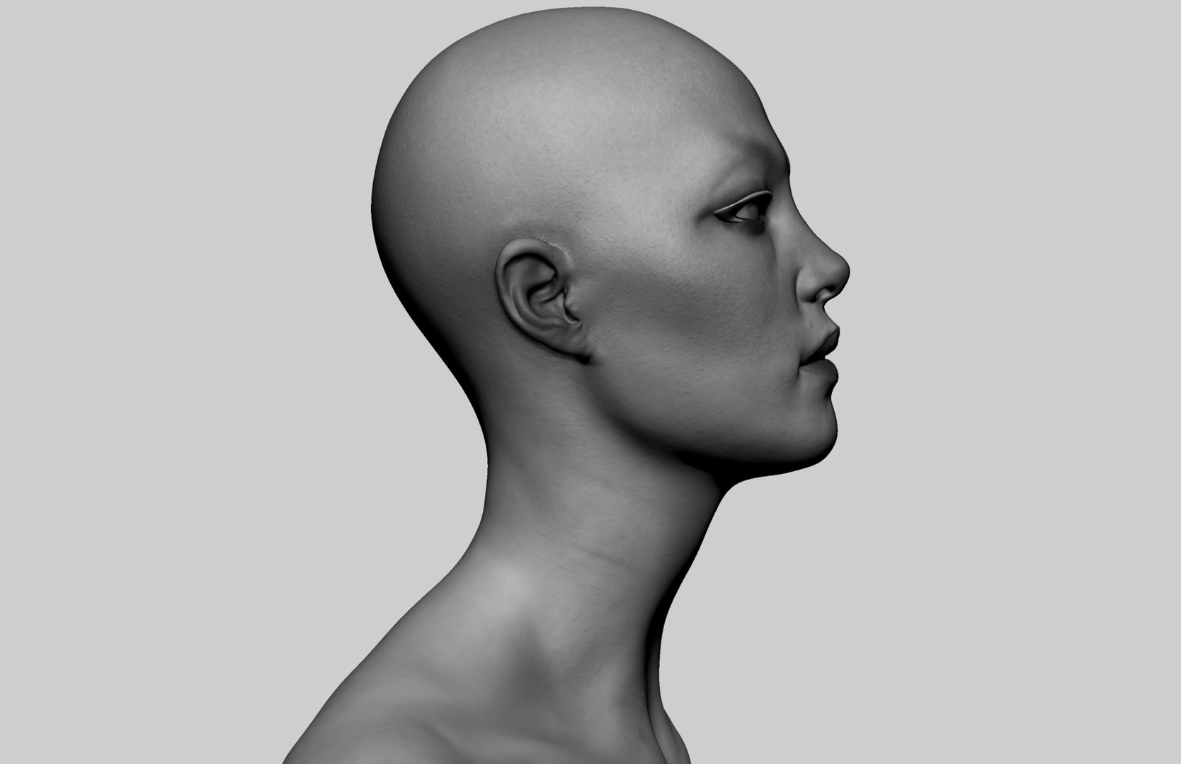 Female head anatomy 3D model - TurboSquid 1591184