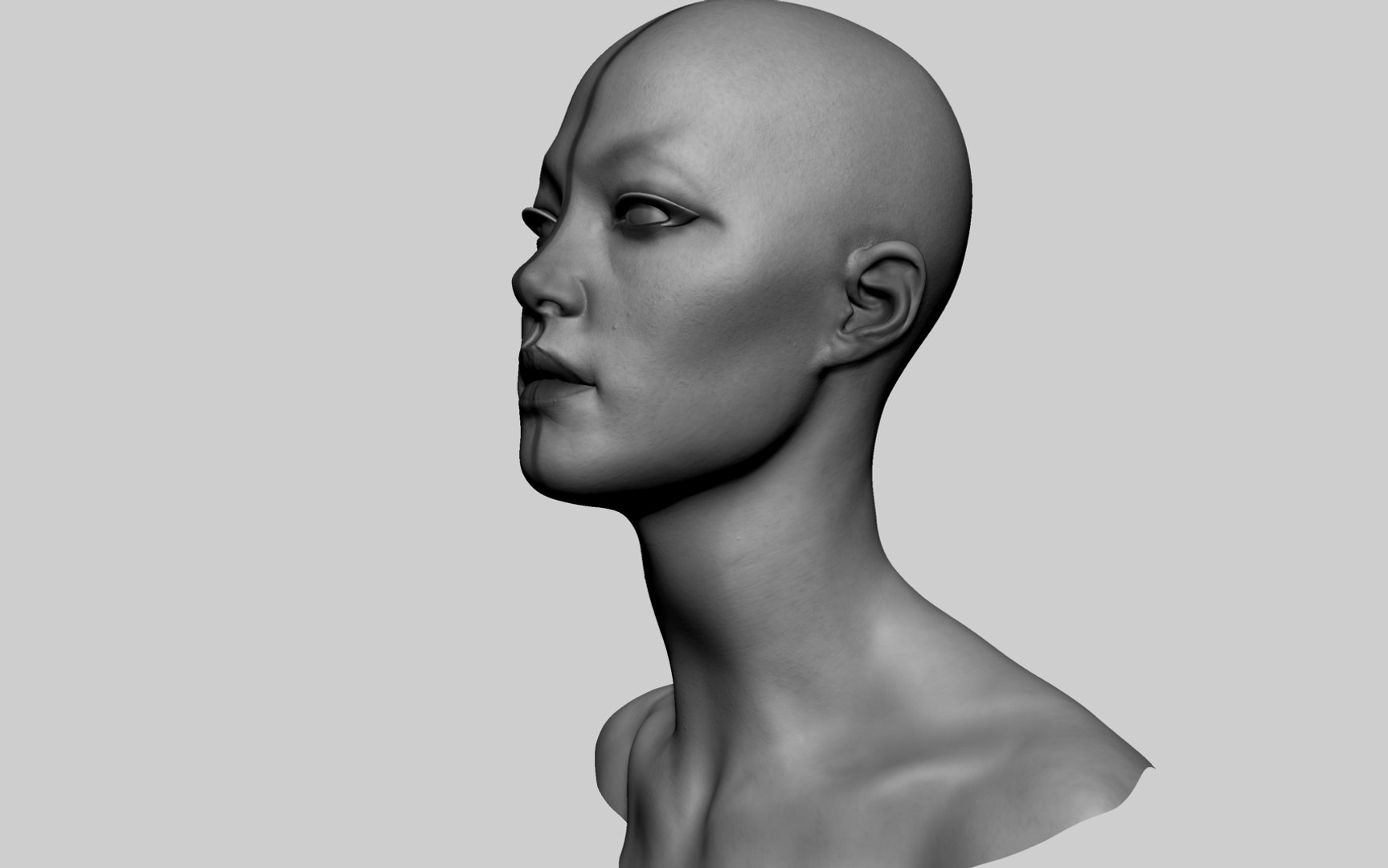 Female head anatomy 3D model - TurboSquid 1591184