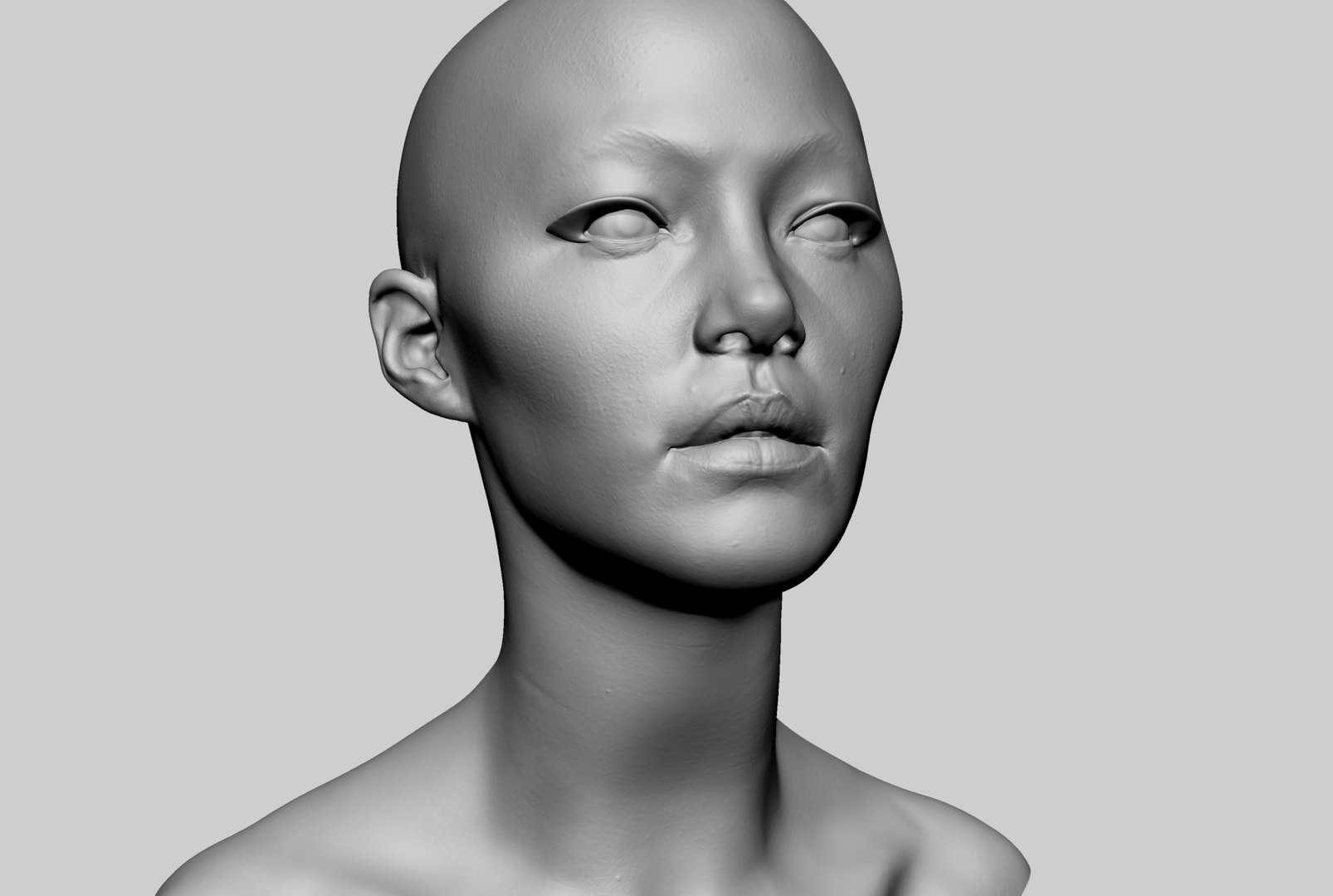 Female head anatomy 3D model - TurboSquid 1591184