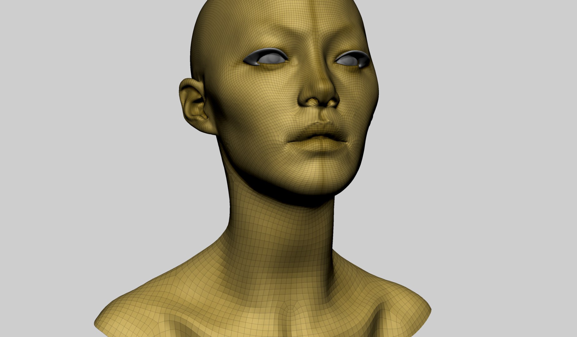 Female head anatomy 3D model - TurboSquid 1591184