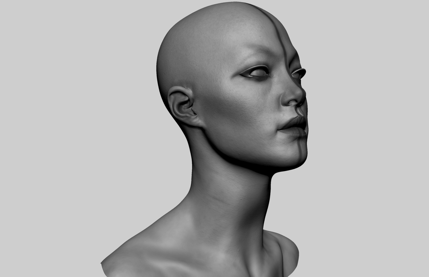 Female head anatomy 3D model - TurboSquid 1591184