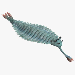 3D Cambrian Models | TurboSquid