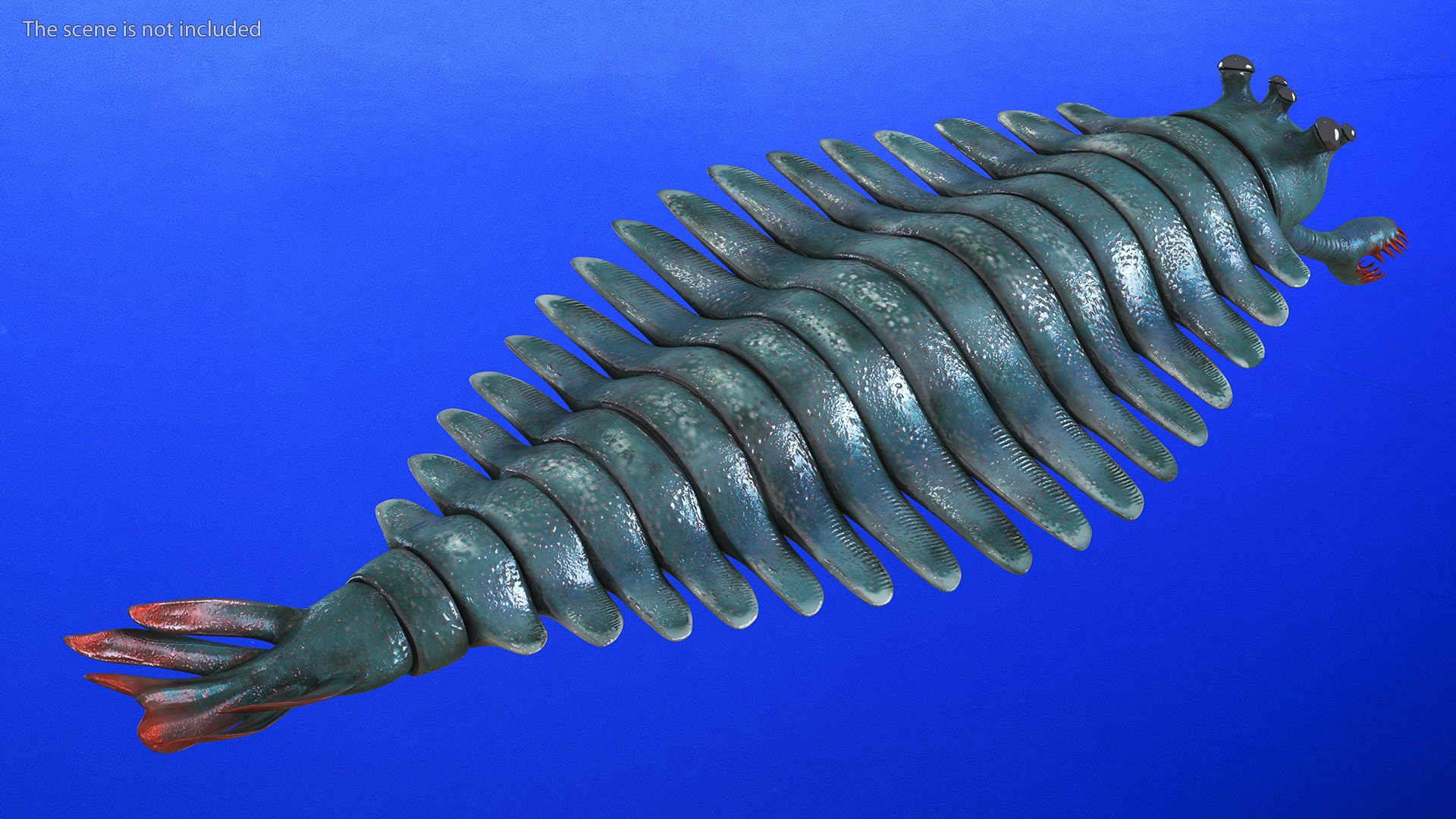3D Green Opabinia Rigged - TurboSquid 2178045