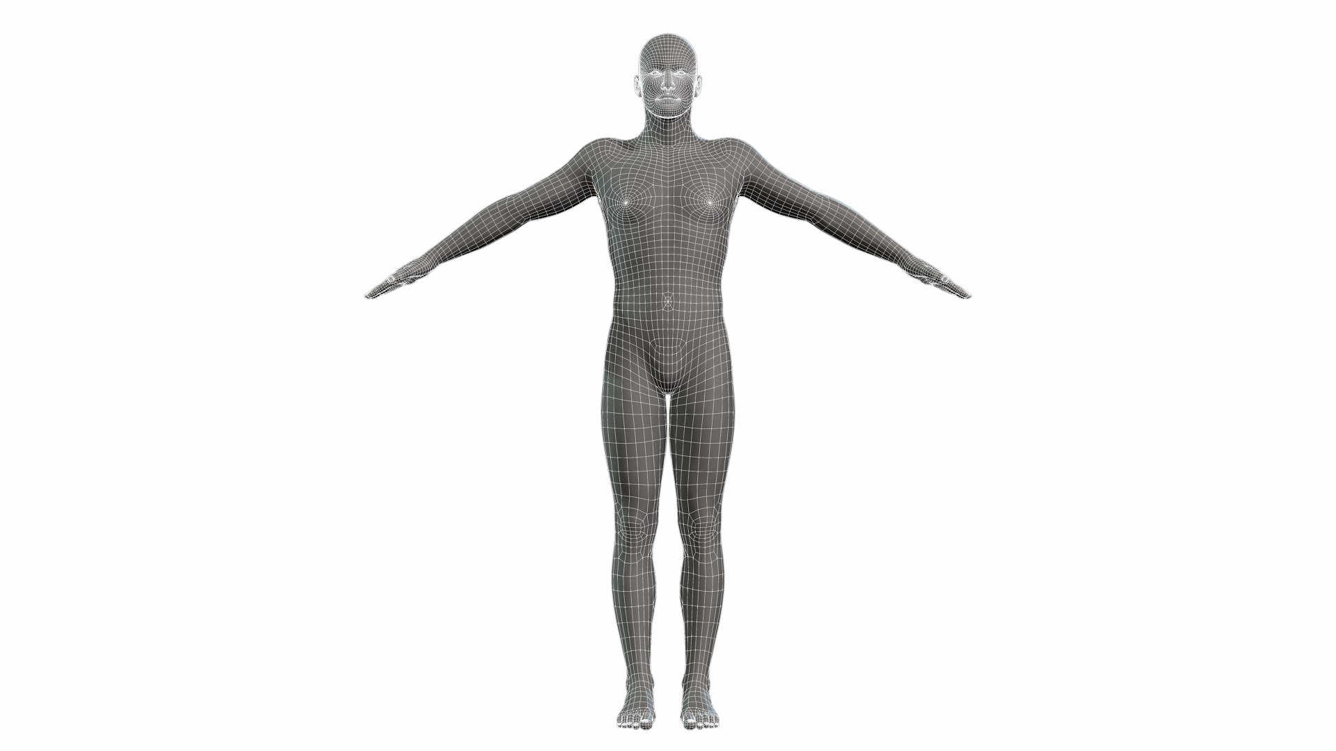 3D 40 3D Characters Base Shapes MegaPack - TurboSquid 1862660