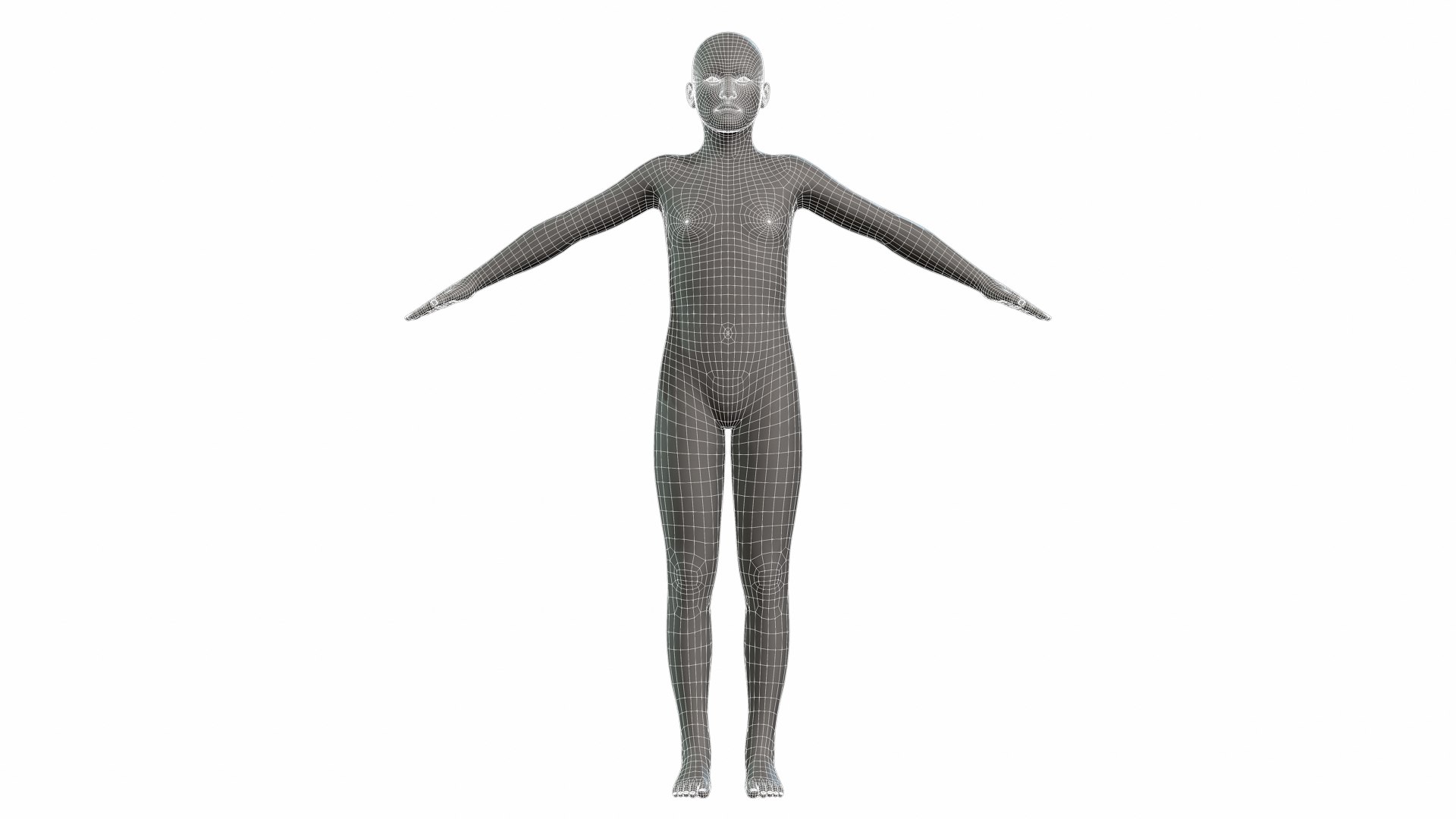 3D 40 3D Characters Base Shapes MegaPack - TurboSquid 1862660