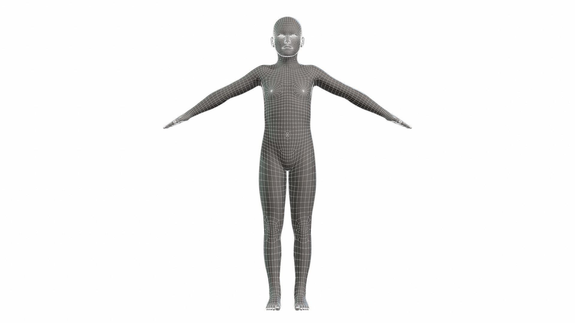 3D 40 3D Characters Base Shapes MegaPack - TurboSquid 1862660