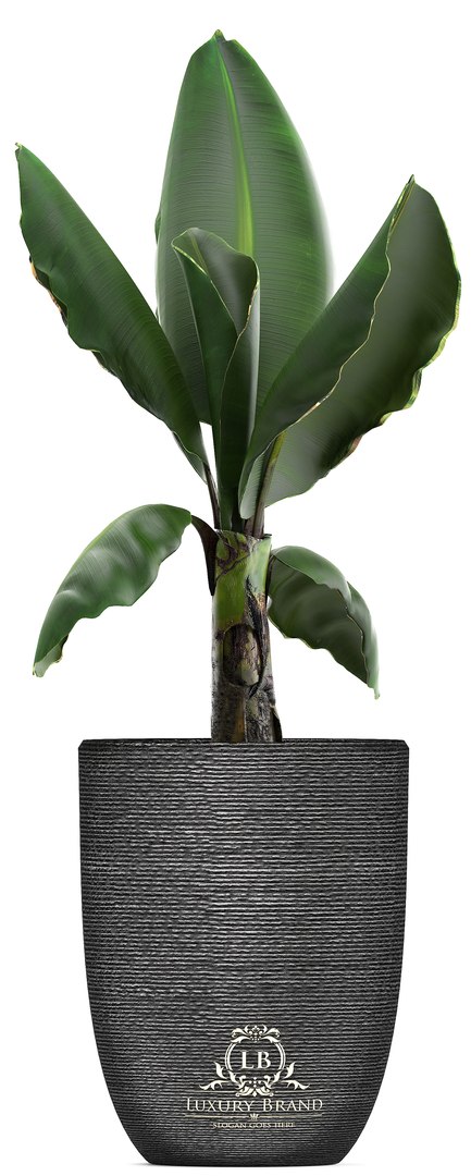 3D exotic plants model - TurboSquid 1373390