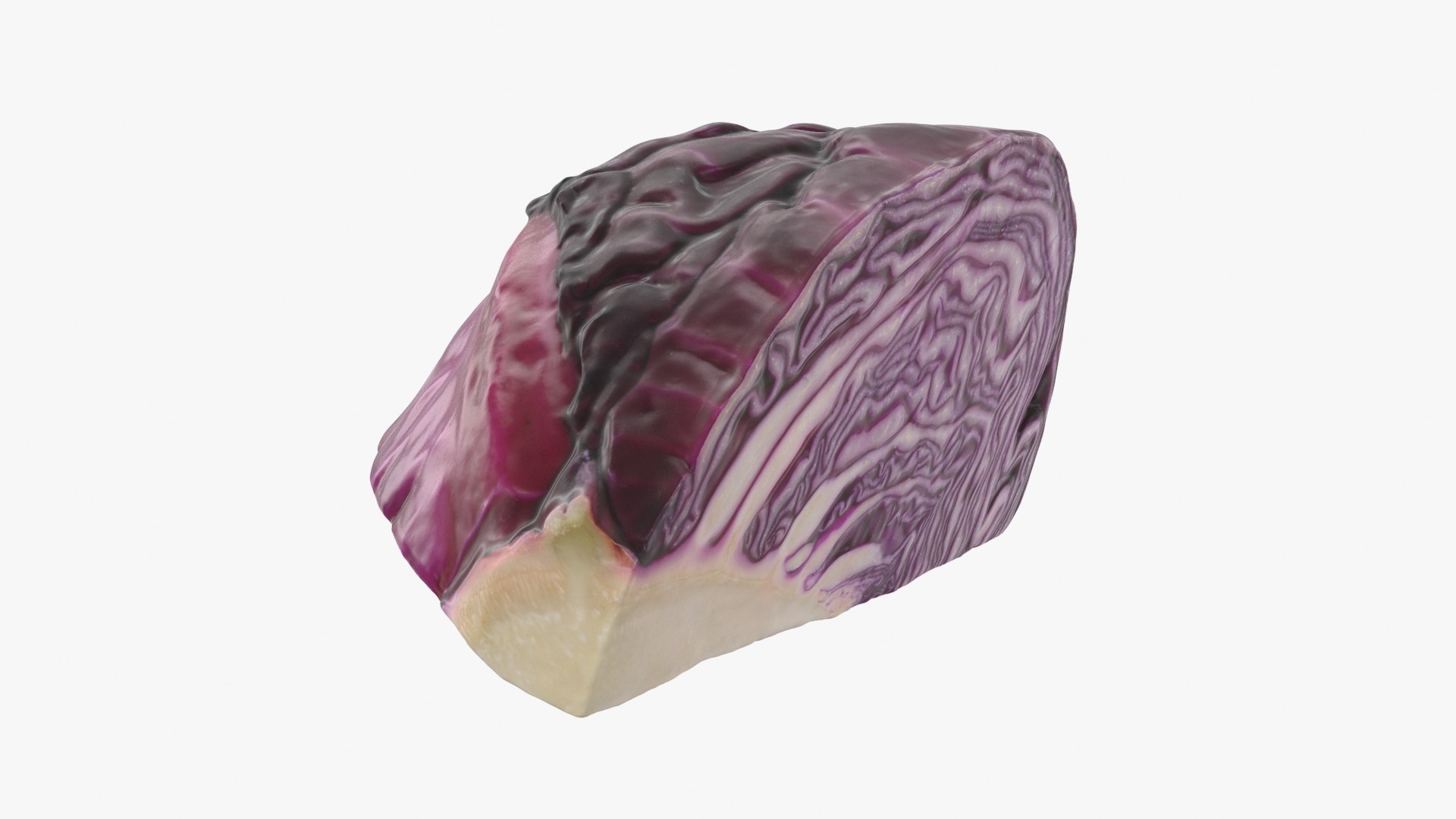 3D Slice Red Cabbage - TurboSquid 2129764