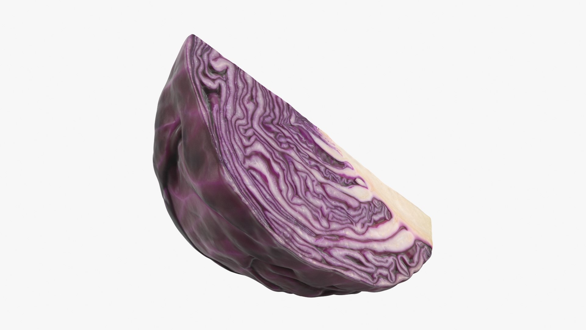 3D Slice Red Cabbage - TurboSquid 2129764