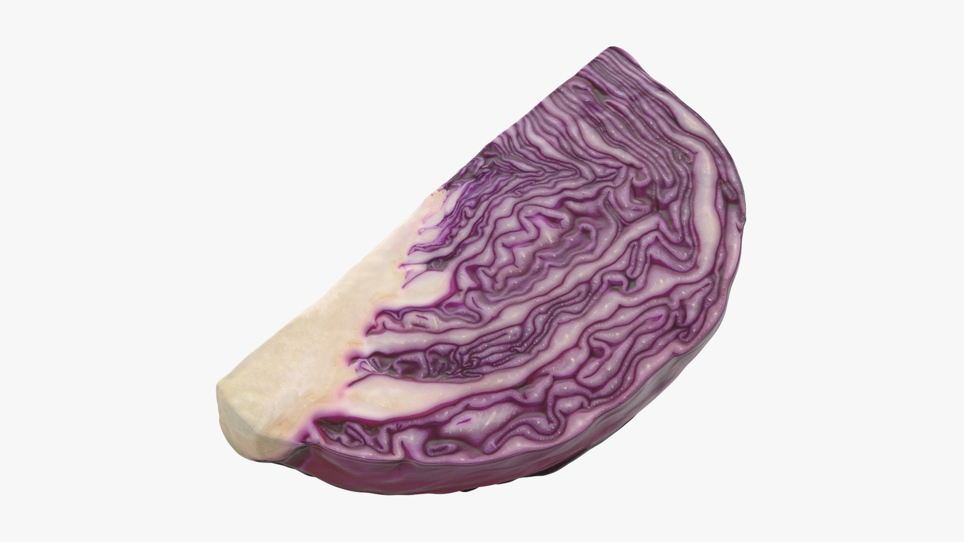 3D Slice Red Cabbage - TurboSquid 2129764