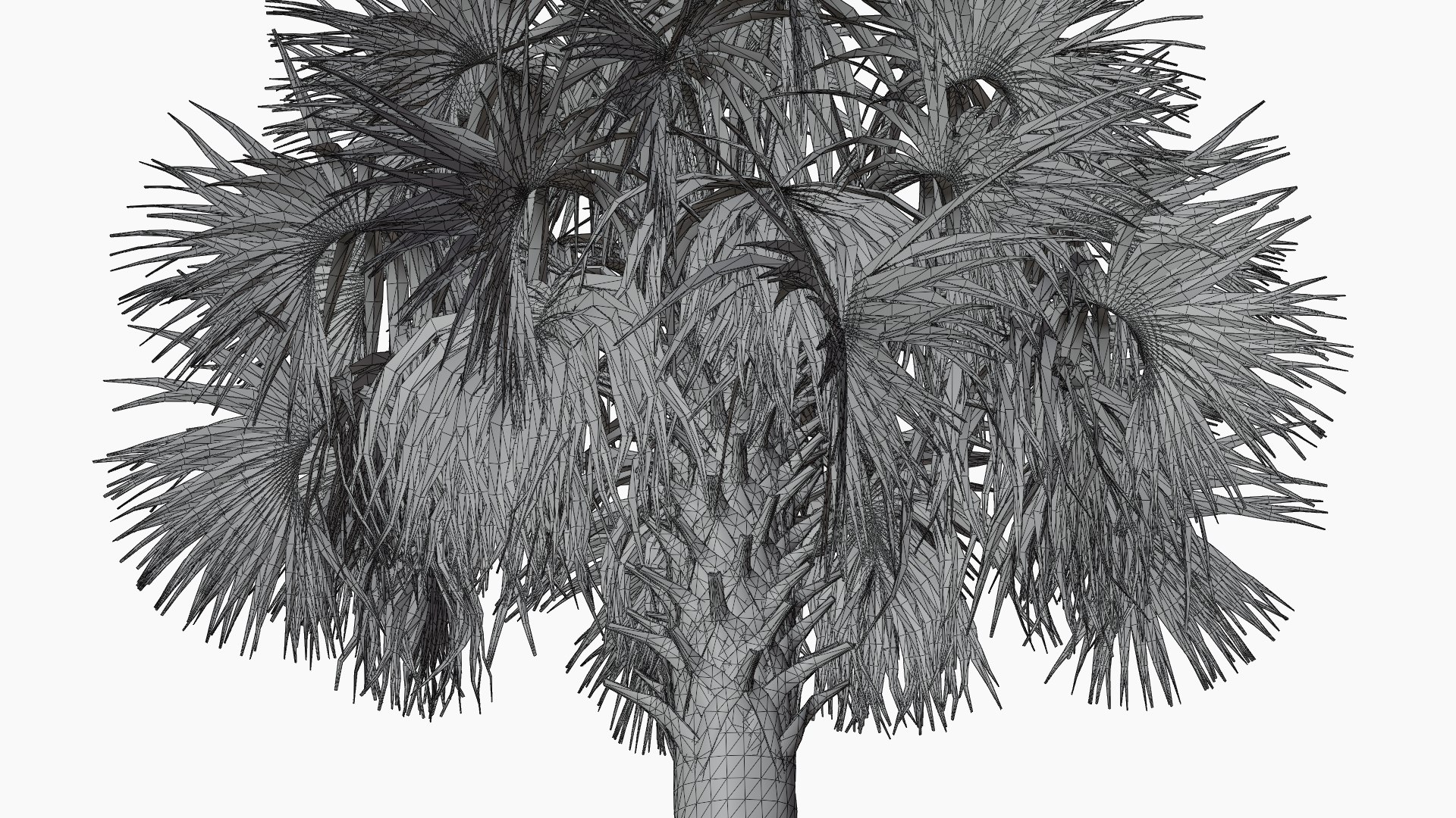 3D Set Of Sabal Palms Model - TurboSquid 1973723