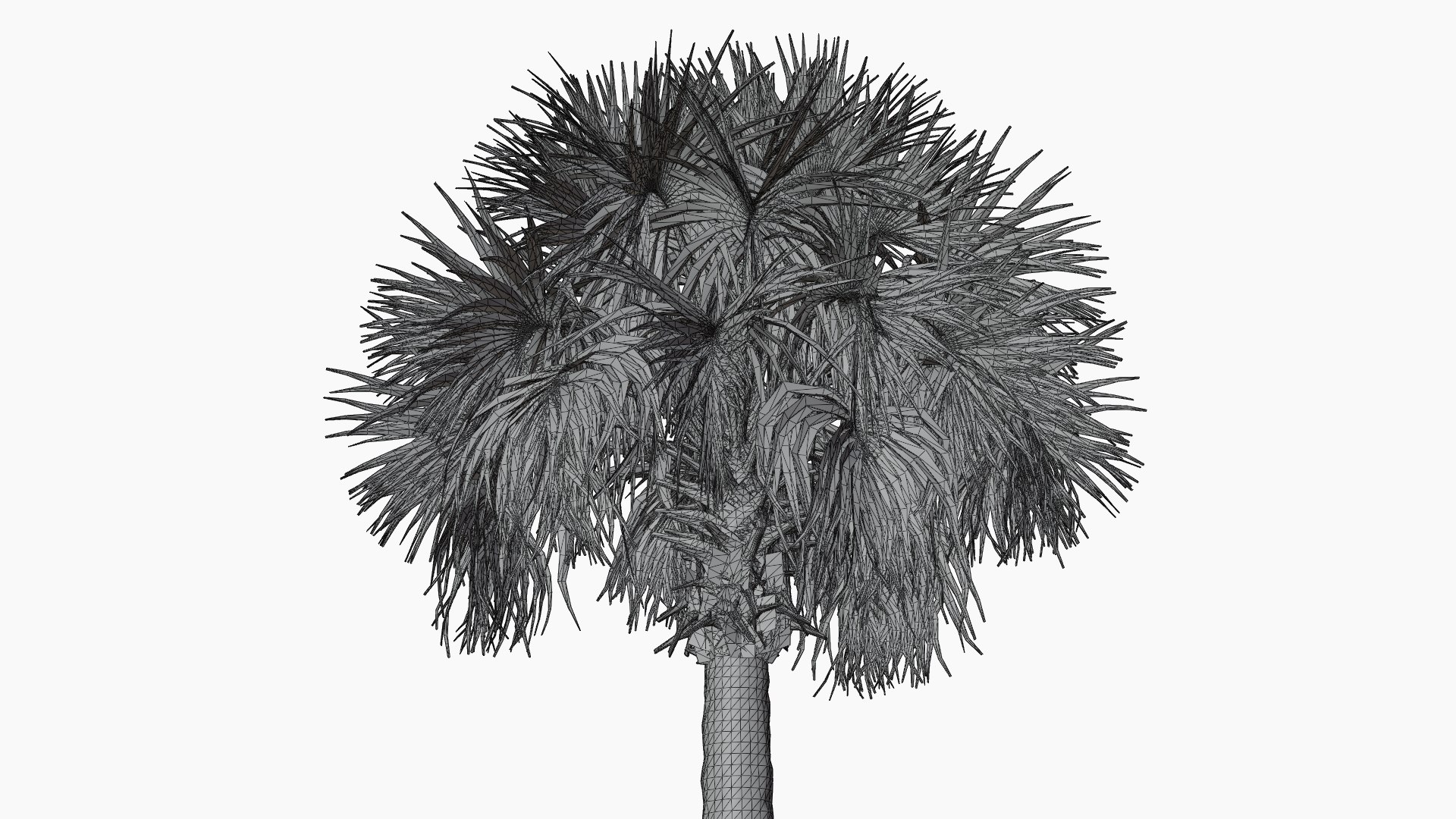 3D Set Of Sabal Palms Model - TurboSquid 1973723
