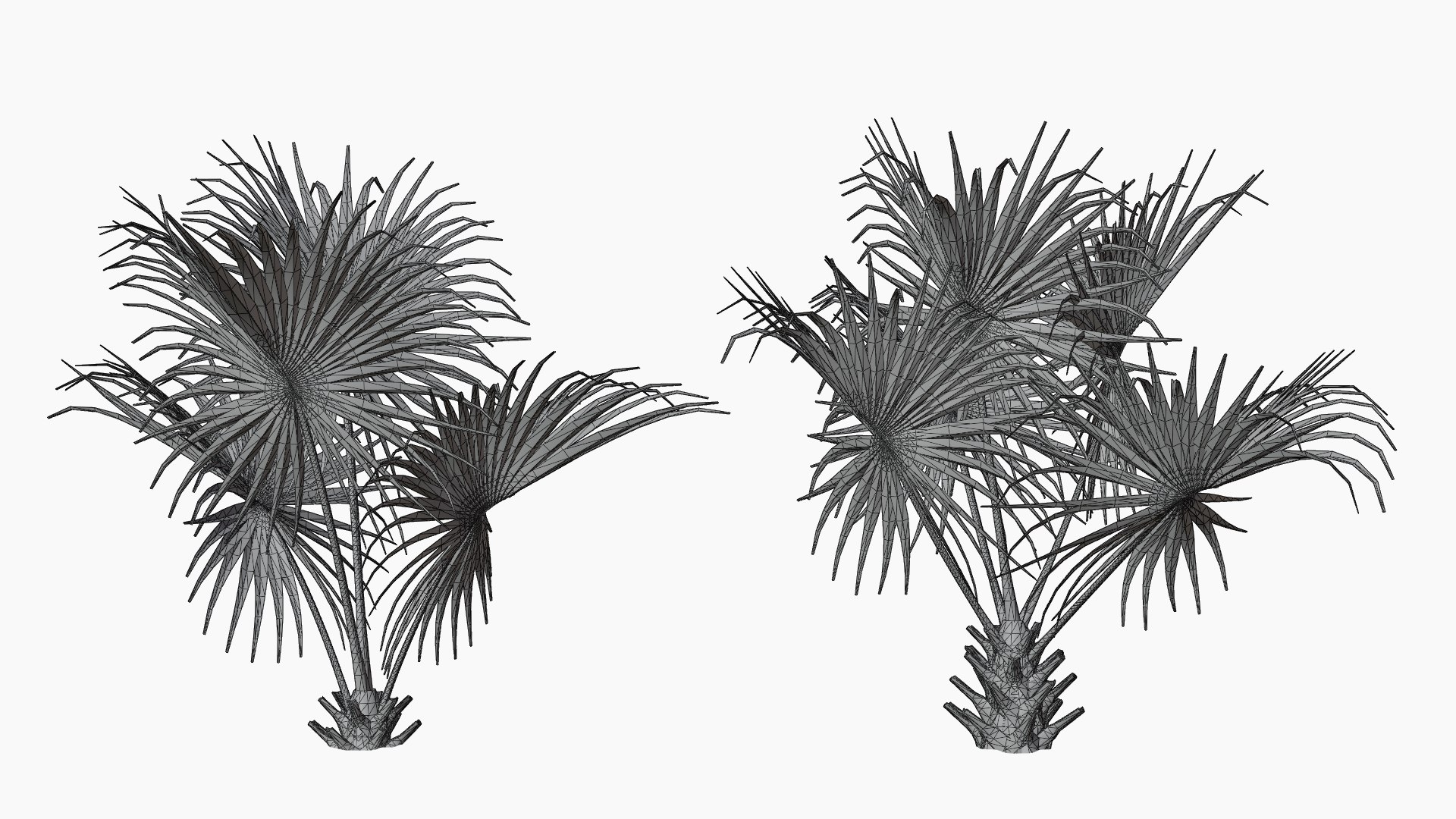3D Set Of Sabal Palms Model - TurboSquid 1973723