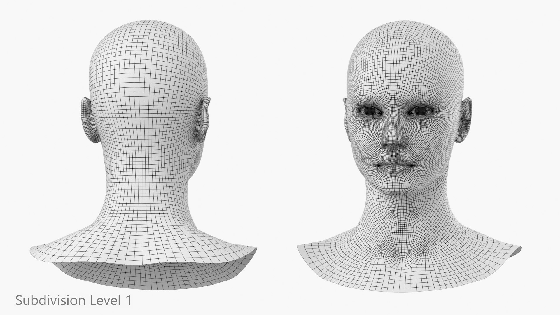 Natural Female Head 01 Base Mesh Model - TurboSquid 2168665