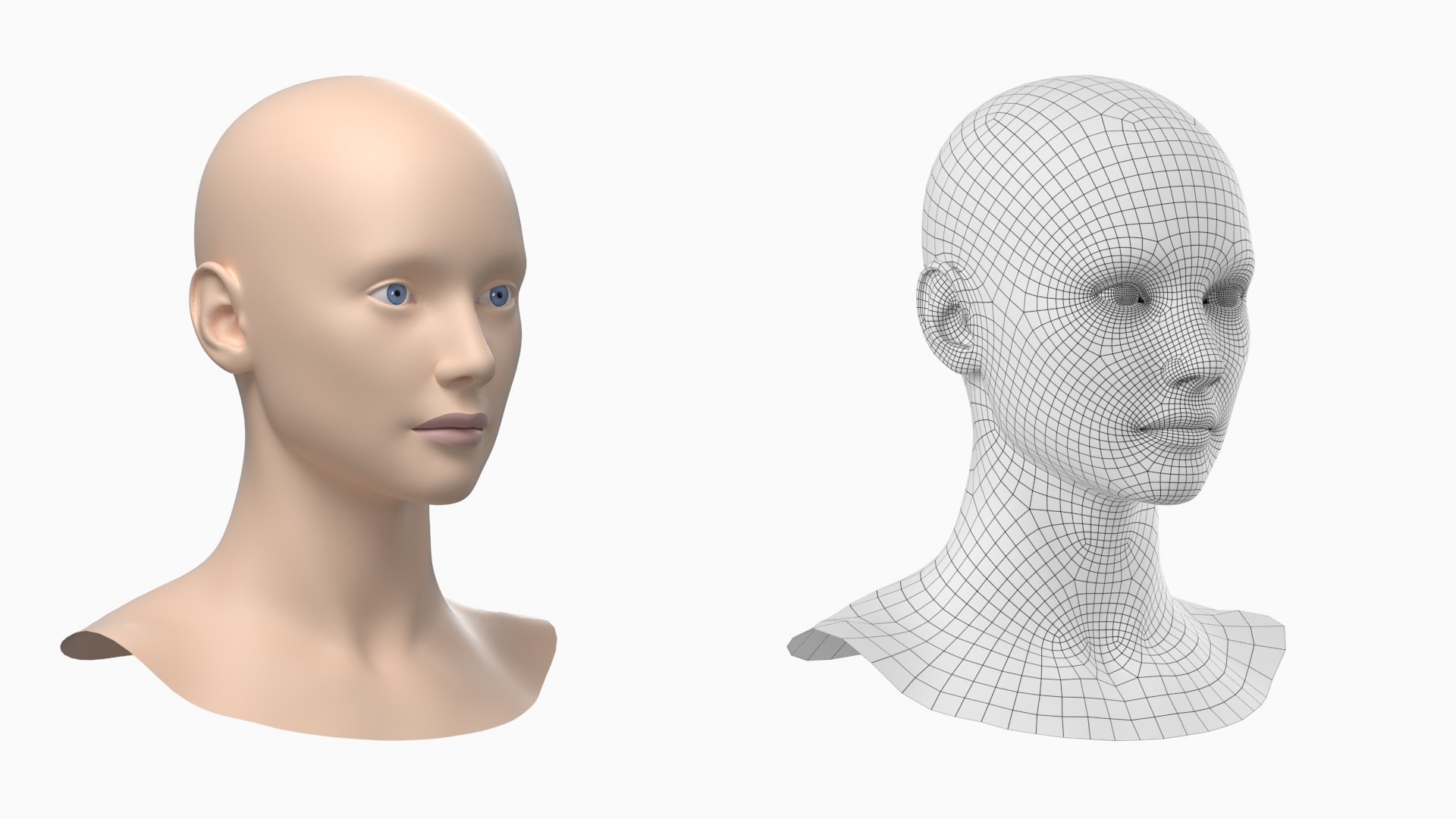 Natural Female Head 01 Base Mesh Model - TurboSquid 2168665
