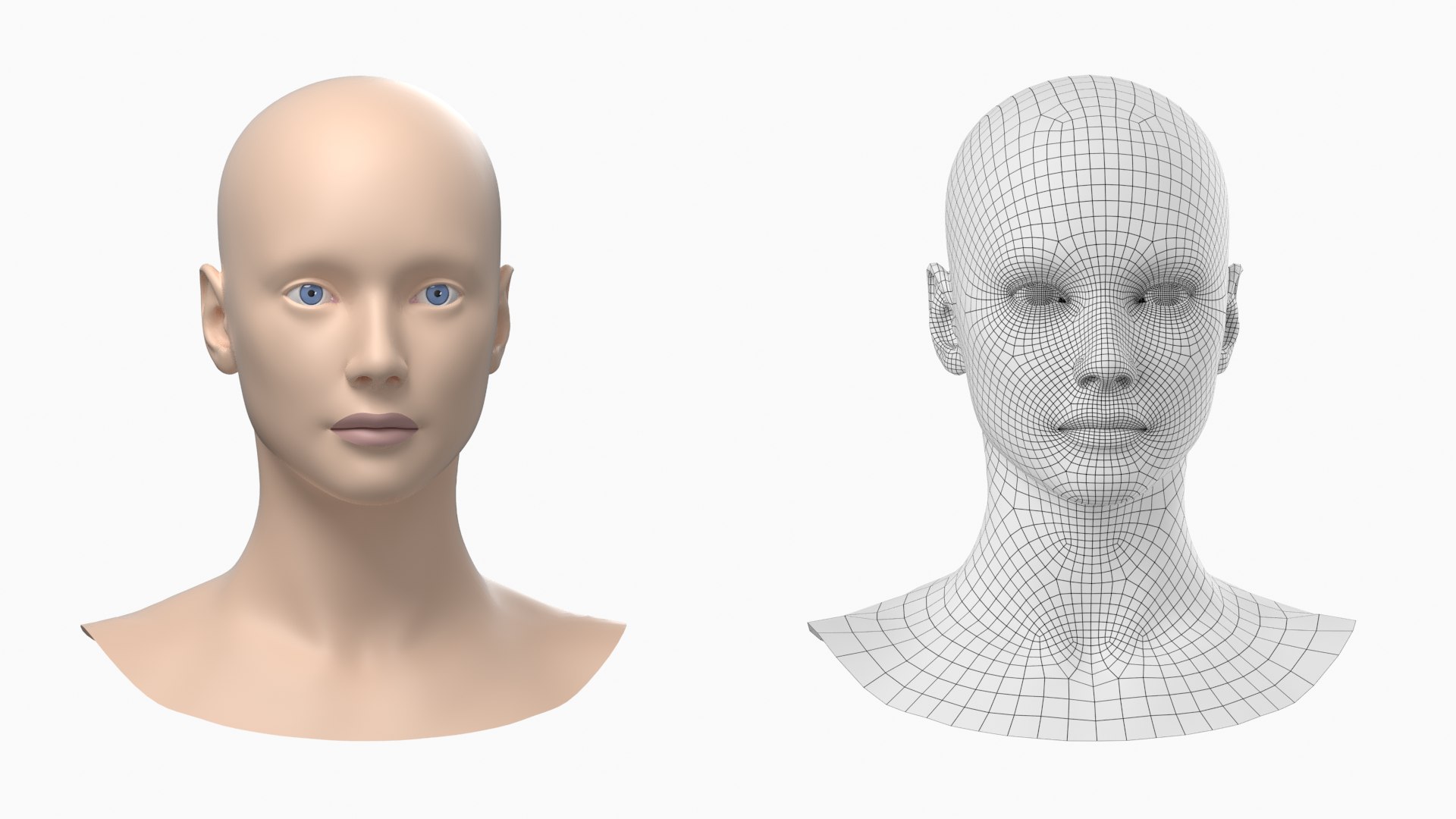 Natural Female Head 01 Base Mesh Model - TurboSquid 2168665