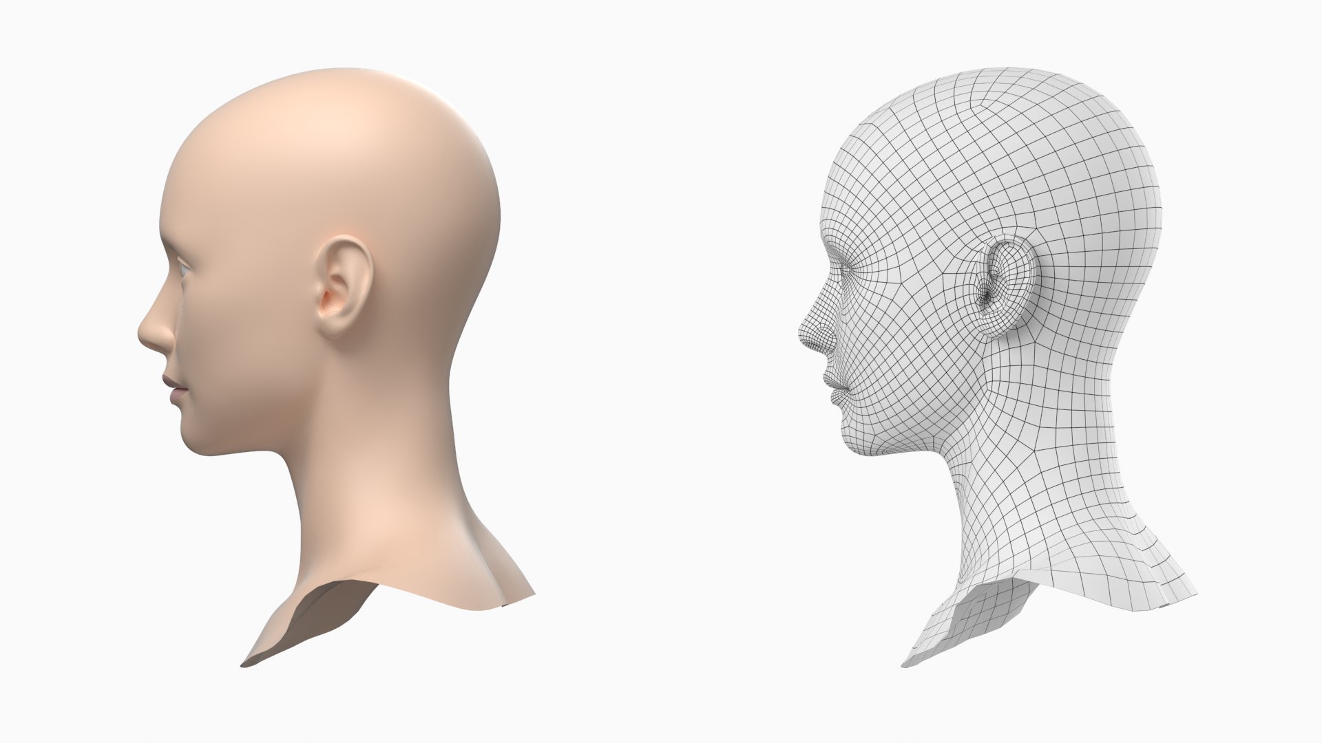 Natural Female Head 01 Base Mesh Model - TurboSquid 2168665